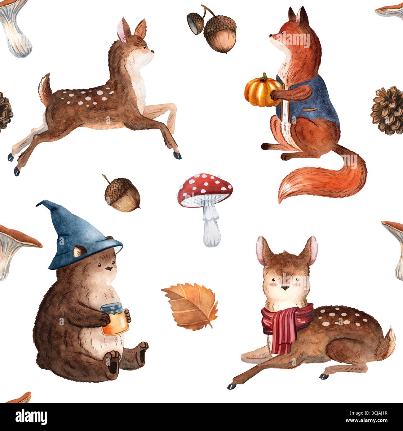 Bear acorn hi-res stock photography and images - Alamy