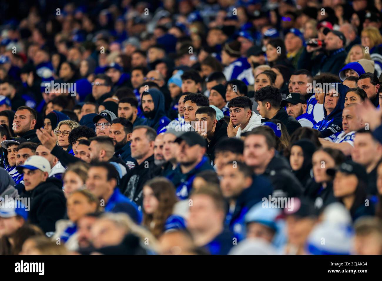 Bulldogs fans look on during the NRL Round 27 match between the ...