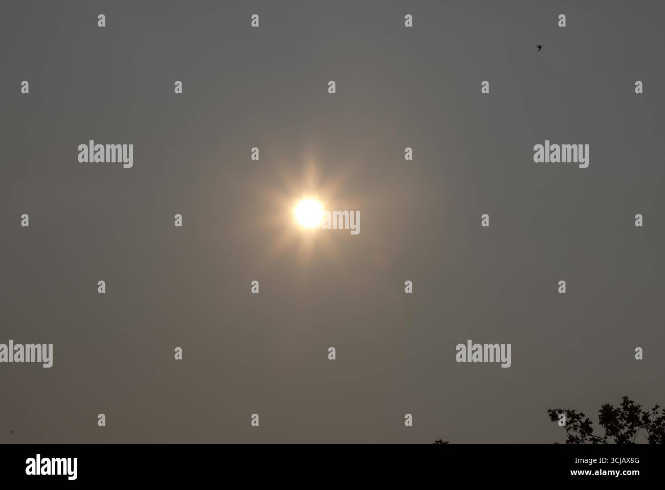 The sun is shrouded by wildfire smoke in New York City on September 6 ...