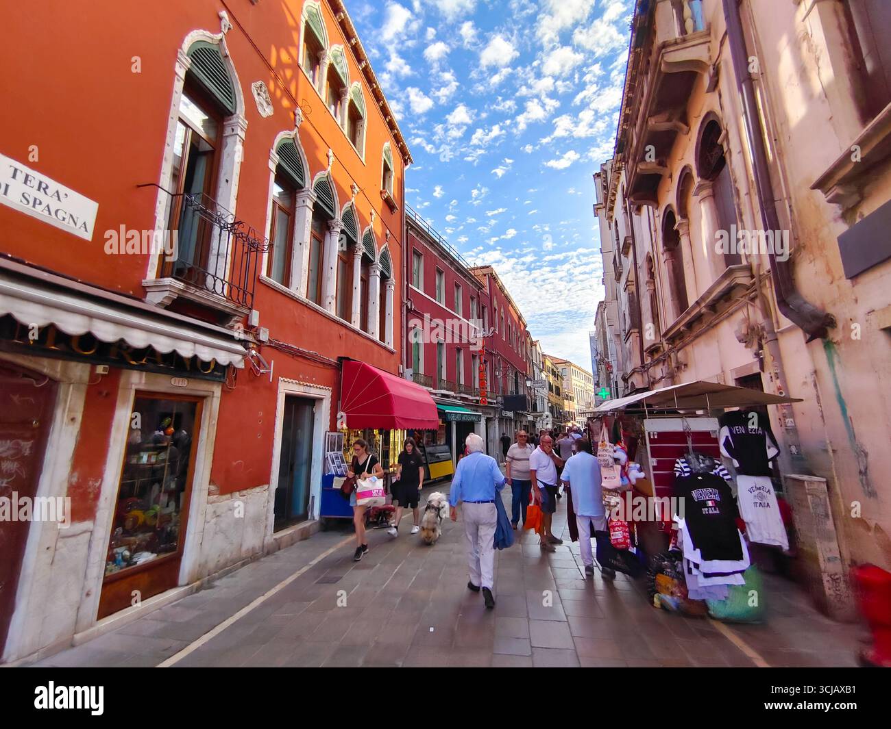 A wide-angle shot of a crowded street in Venice. The photograph ...