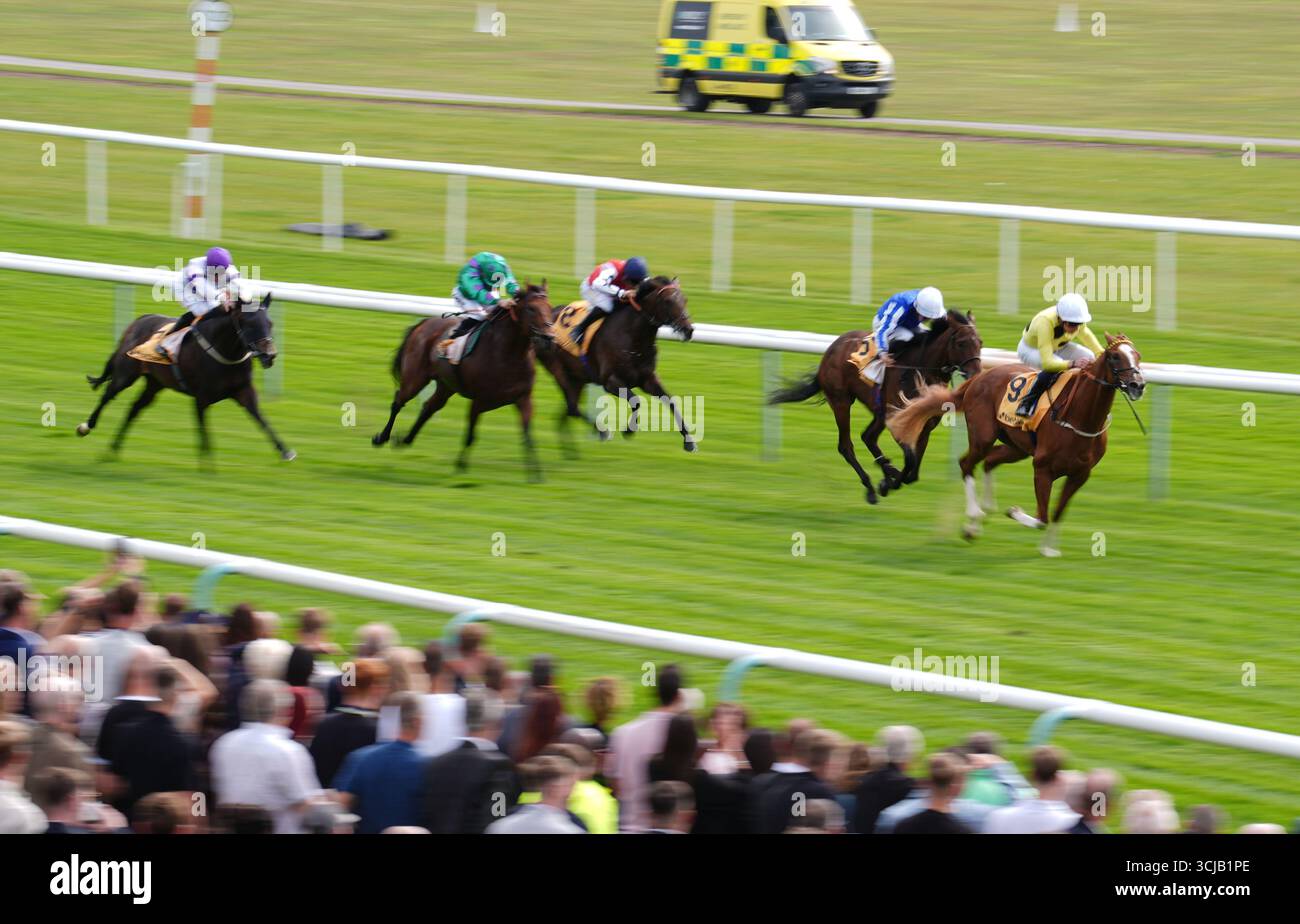 Zeus olympios horse hi-res stock photography and images - Alamy