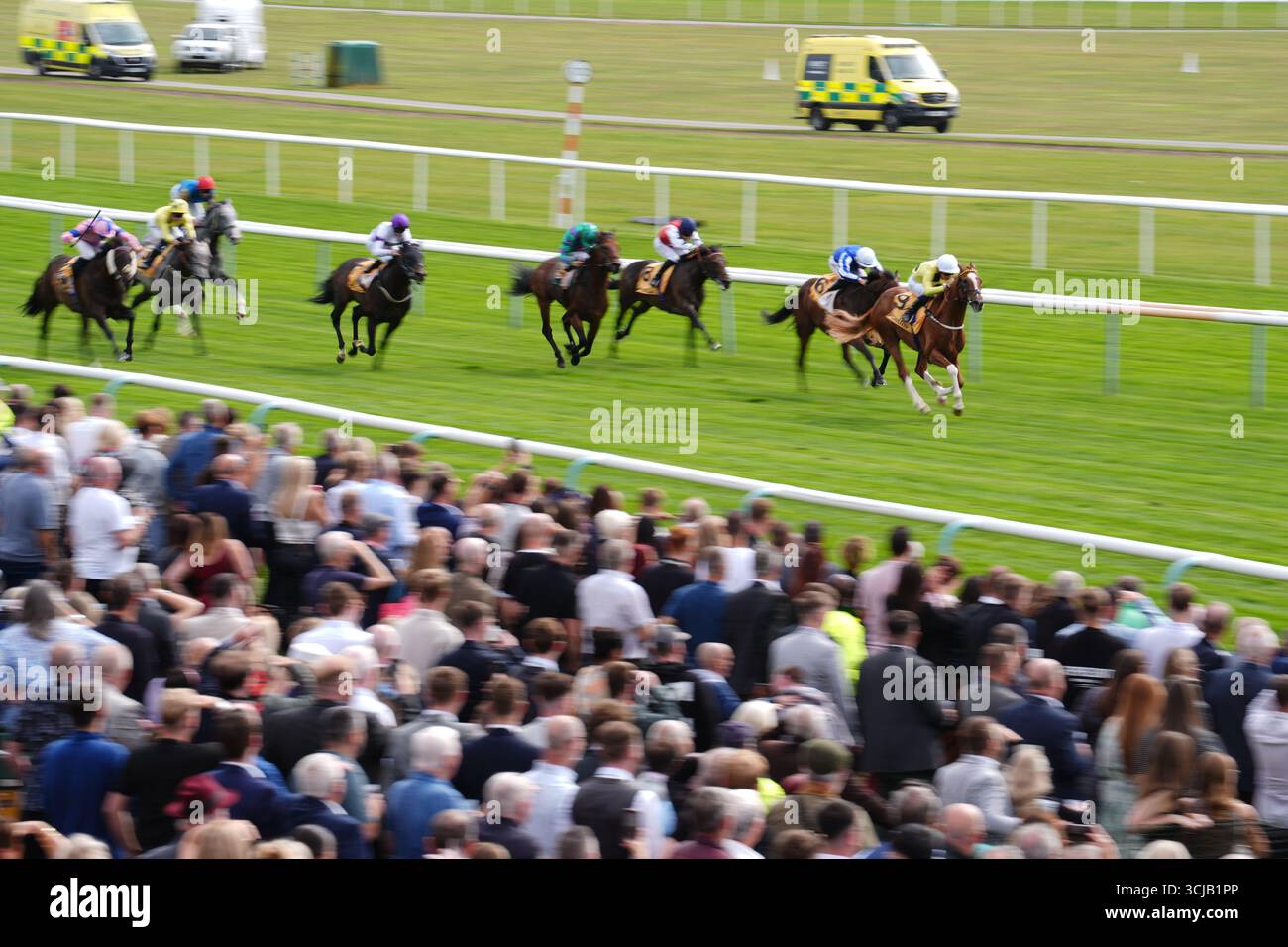 Zeus olympios horse hi-res stock photography and images - Alamy
