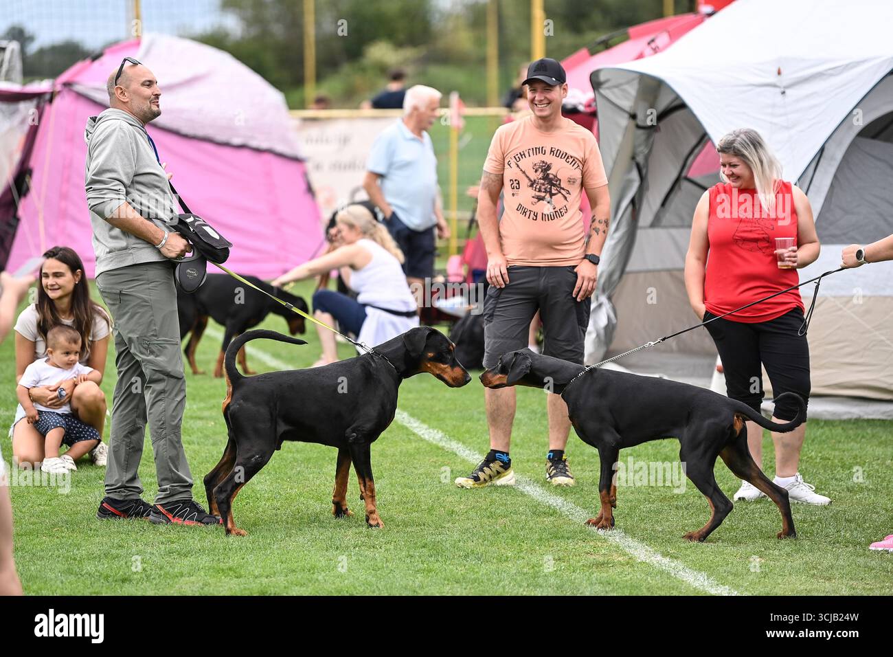A man and a dog take part in the IDC World Championchip 2025 at SRC ...