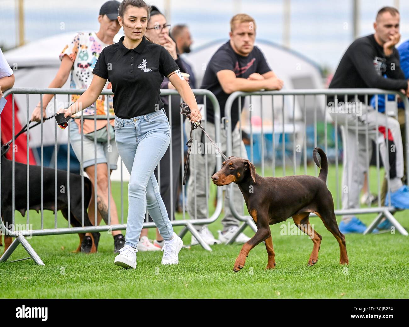 A woman and a dog take part in the IDC World Championchip 2025 at SRC ...