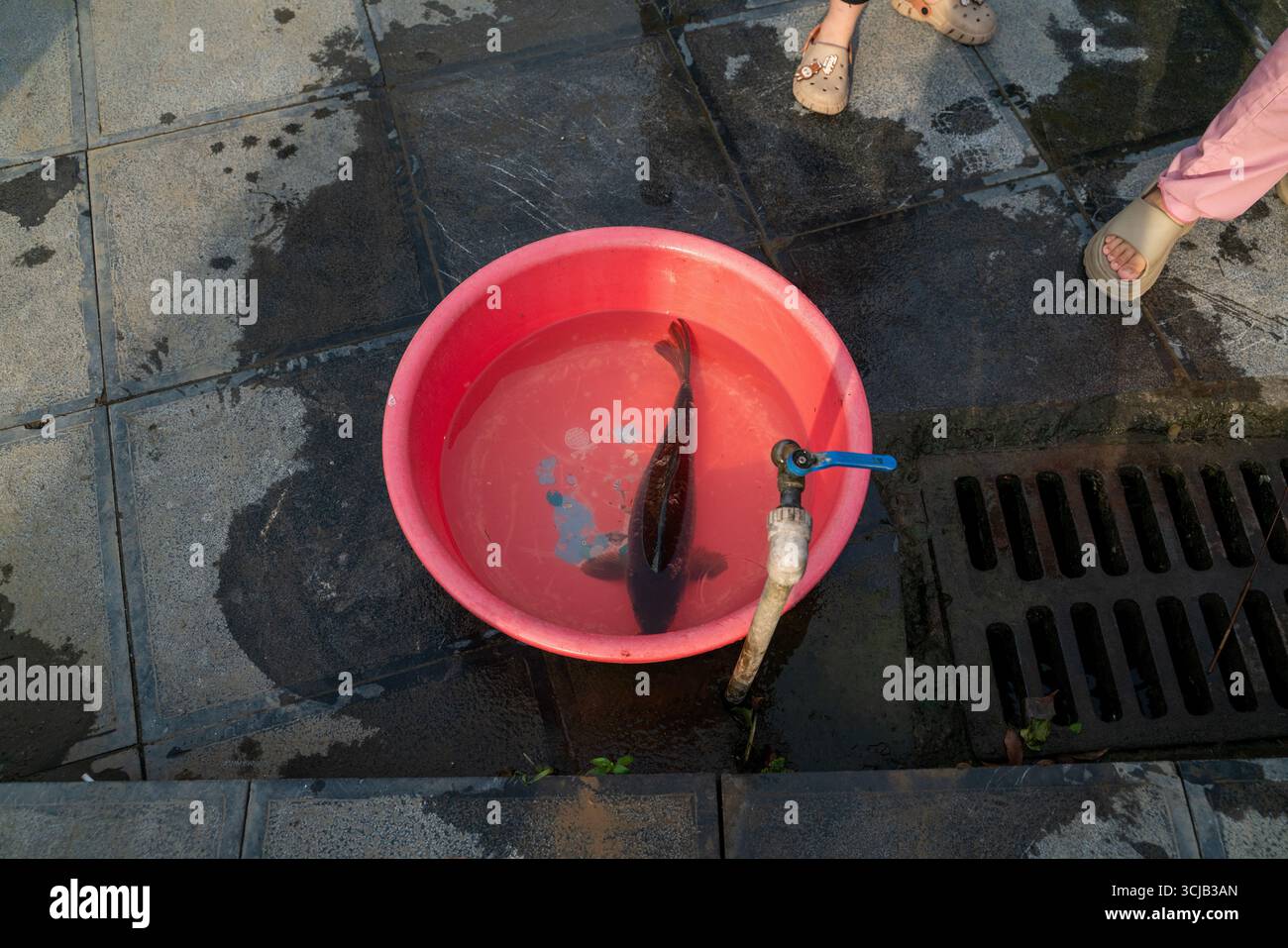 HANOI, VIETNAM - SEPTEMBER 6: Vu Lan Festival, the Ghost Festival, is ...