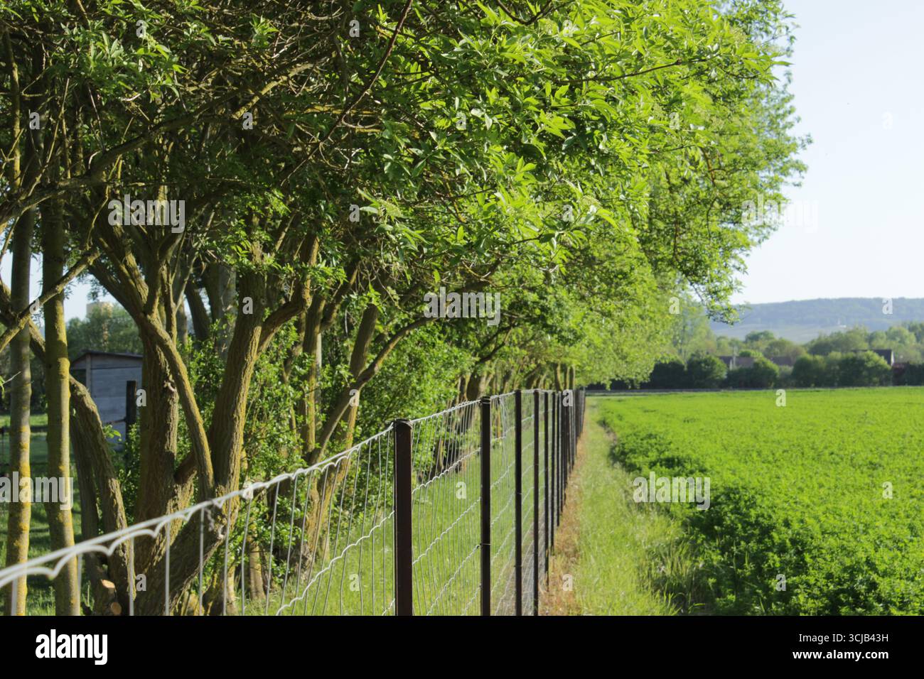 Growth boundary hi-res stock photography and images - Alamy