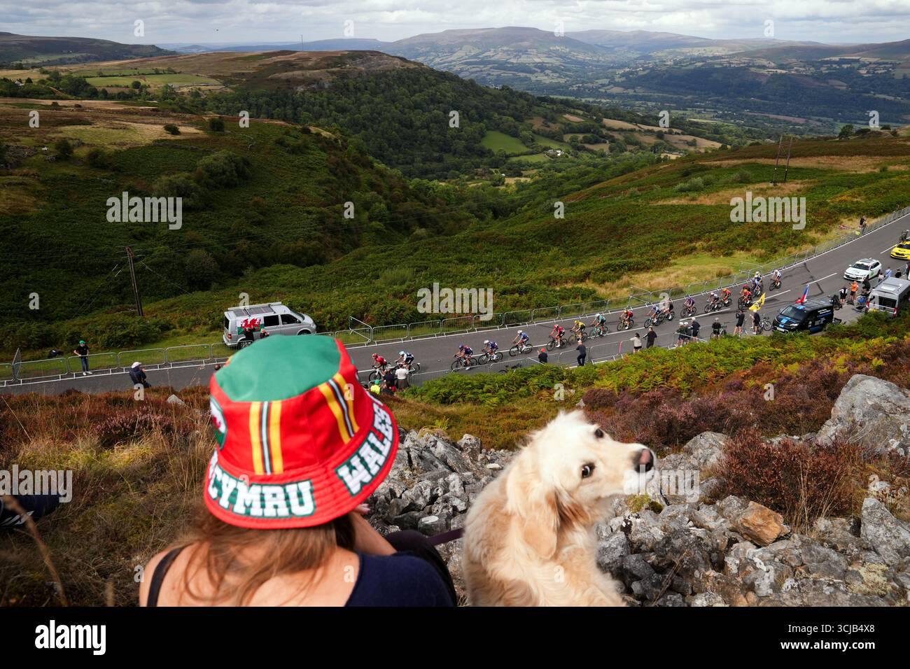 A person and their dog watch action during stage five of the 2025 Lloyds Tour of Britain from ...