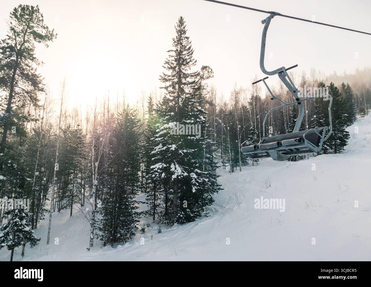 A ski lift moves slowly downwards, surrounded by tall evergreen trees ...