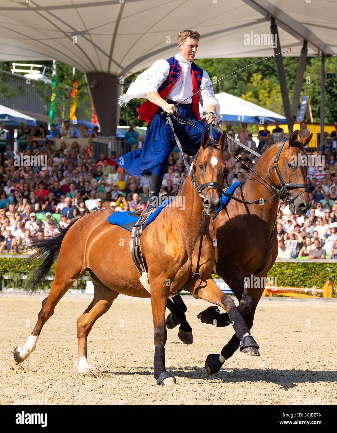 06 September 2025, Saxony, Moritzburg: One of the highlights of the ...