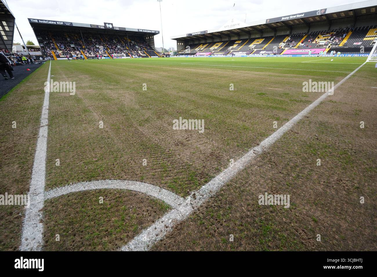 A general view of the Notts County pitch which is suffering from a rare ...