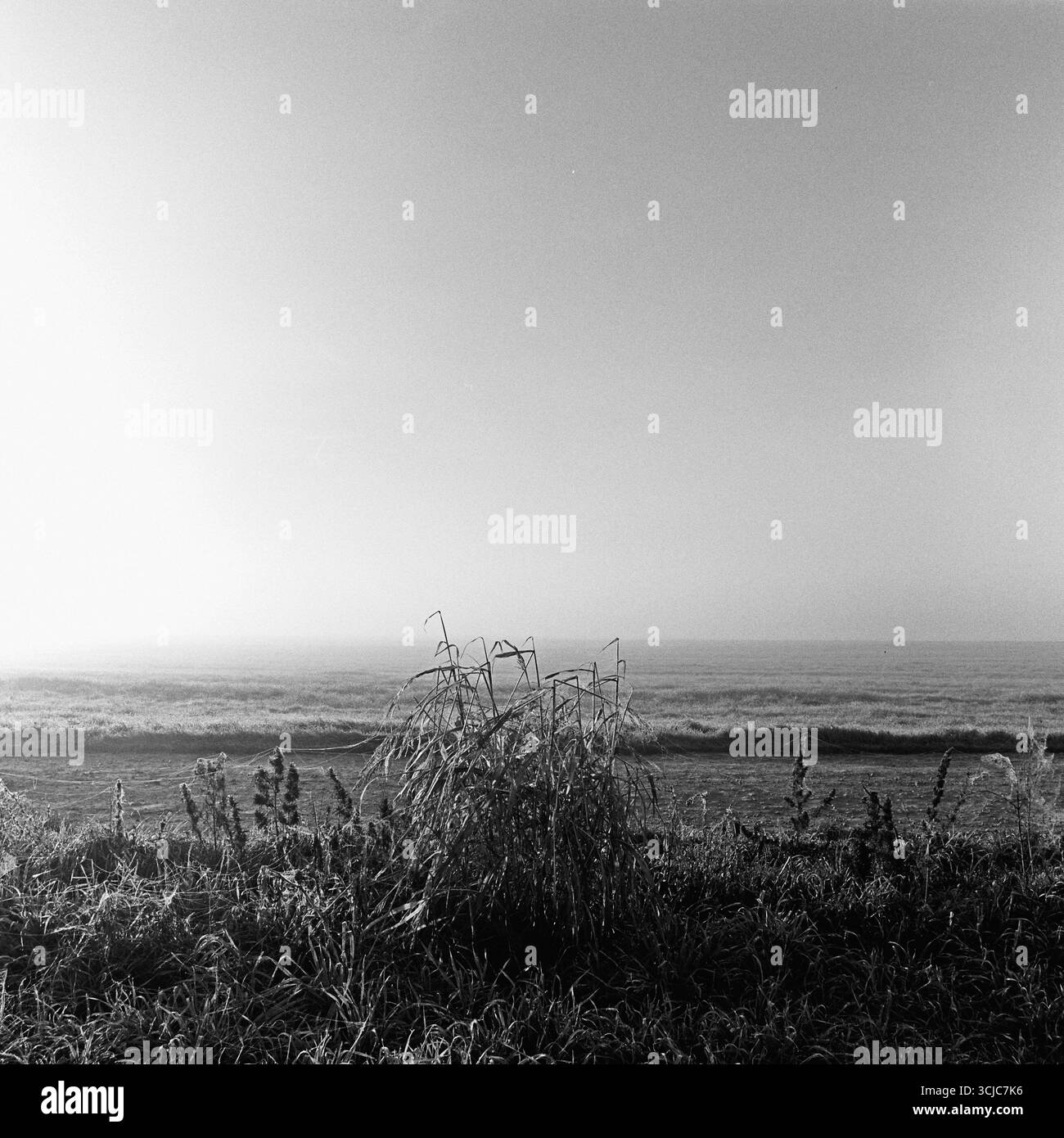 Sunny morning on rural Black and White Stock Photos & Images - Alamy