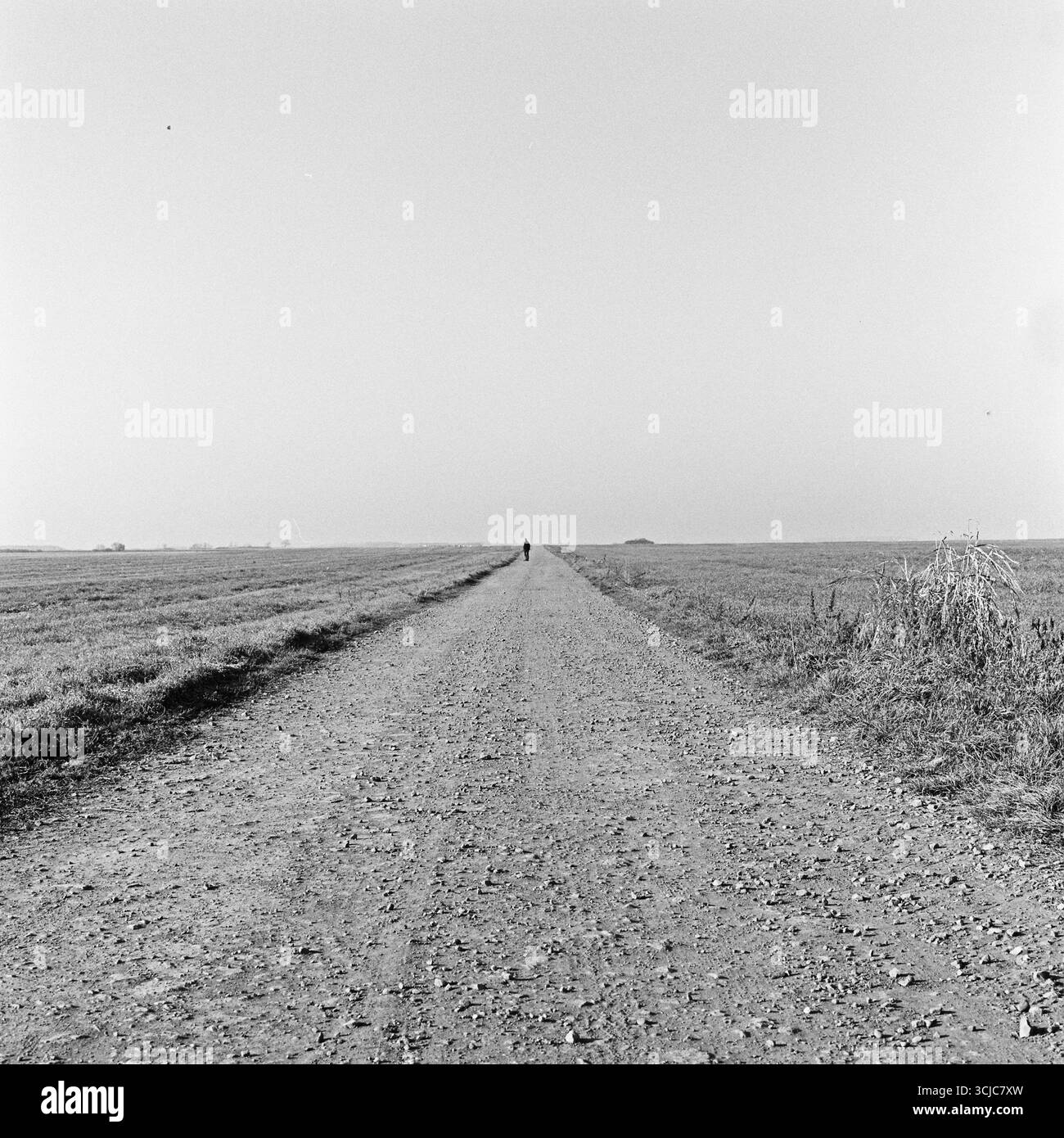 Timeless monochrome landscape Black and White Stock Photos & Images - Alamy