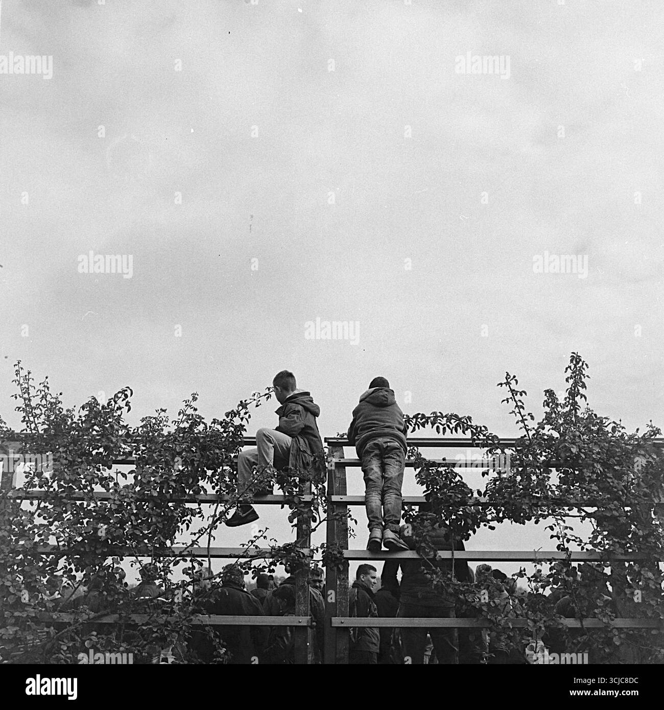 History boys film Black and White Stock Photos & Images - Alamy
