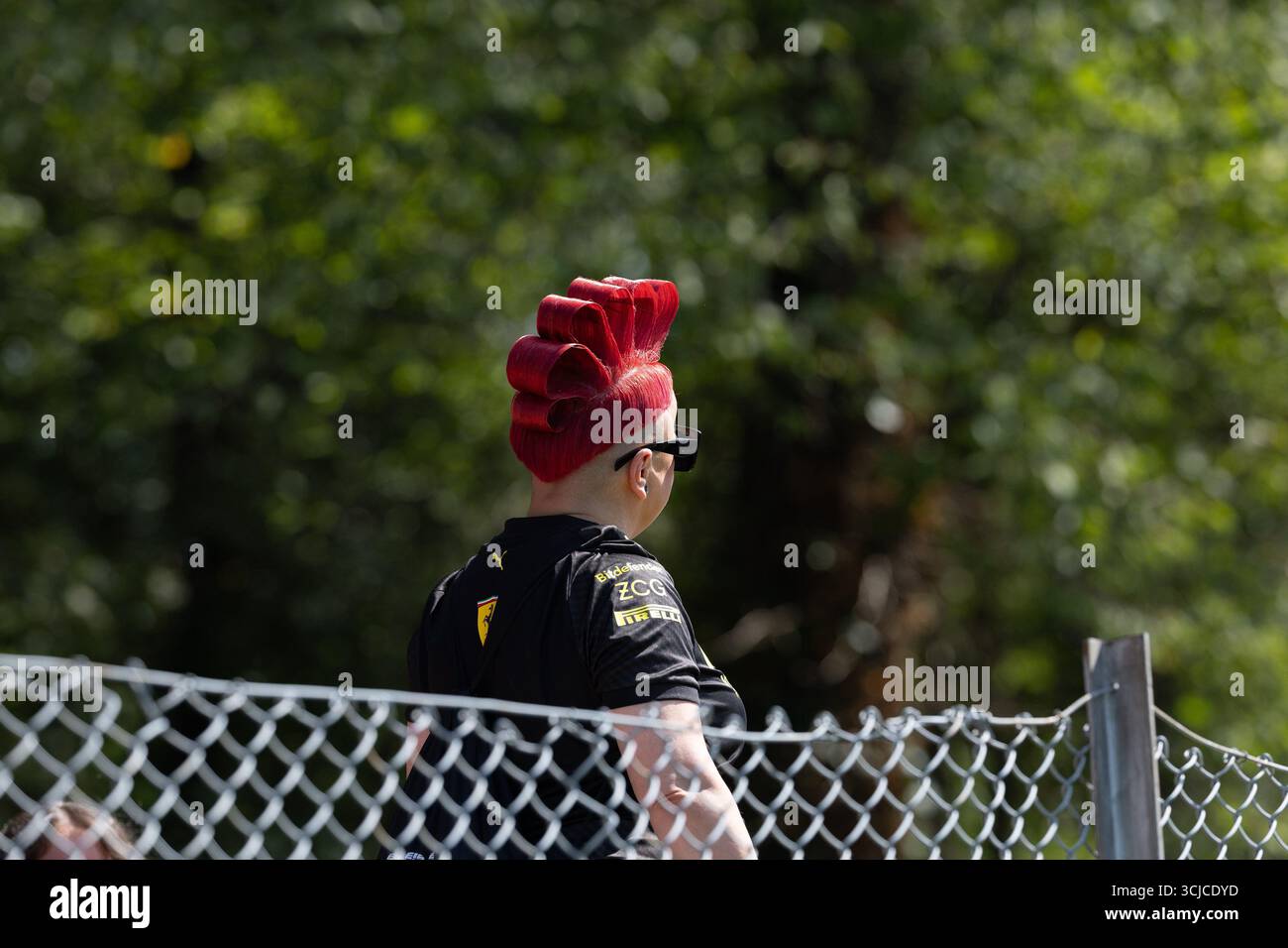 Formula 1 Pirelli Gran Premio d'Italia 2025 Monza- F1 Italy Grand Prix ...