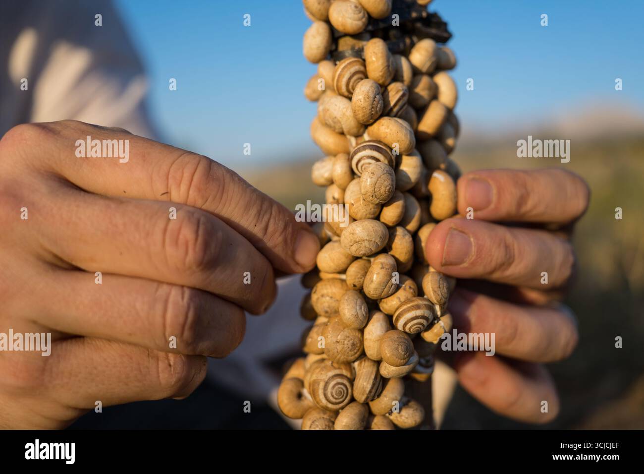 Highlighting careful observation hi-res stock photography and images ...