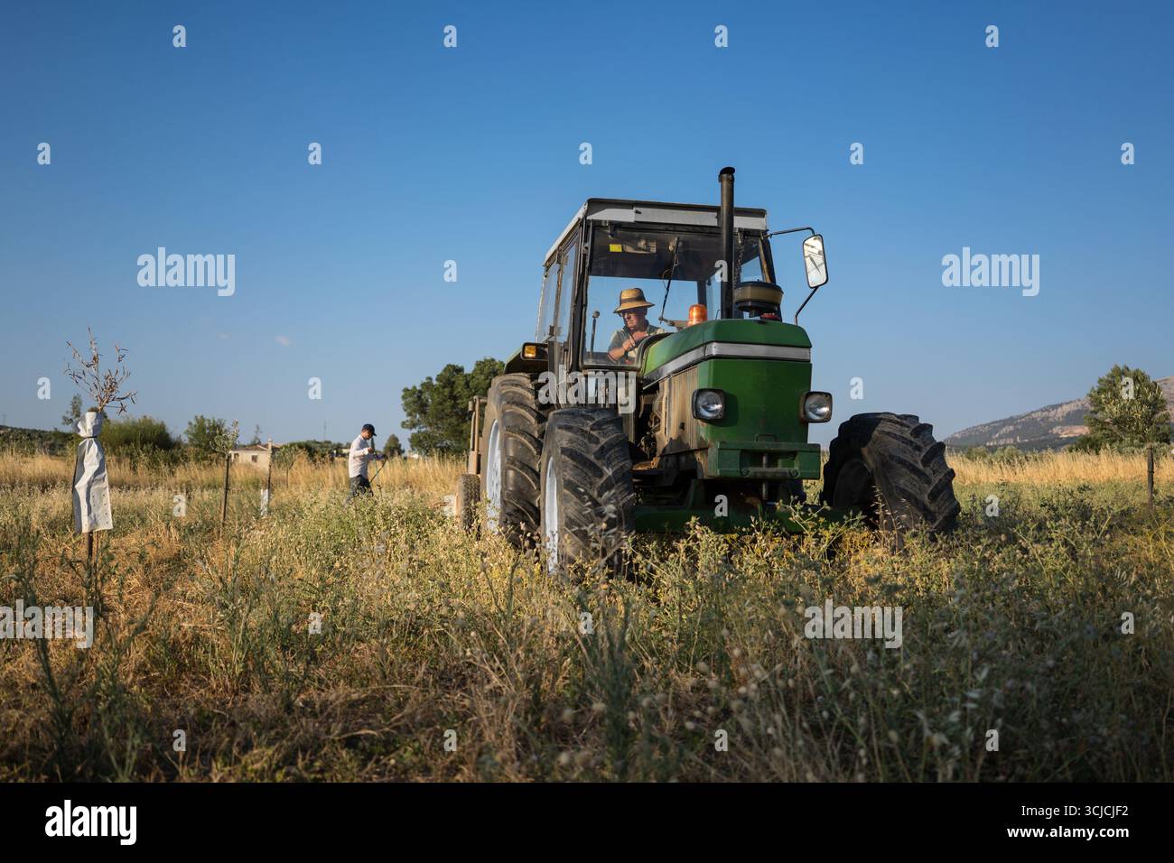 A senior man operates a tractor with a water tank on a farm, while his ...