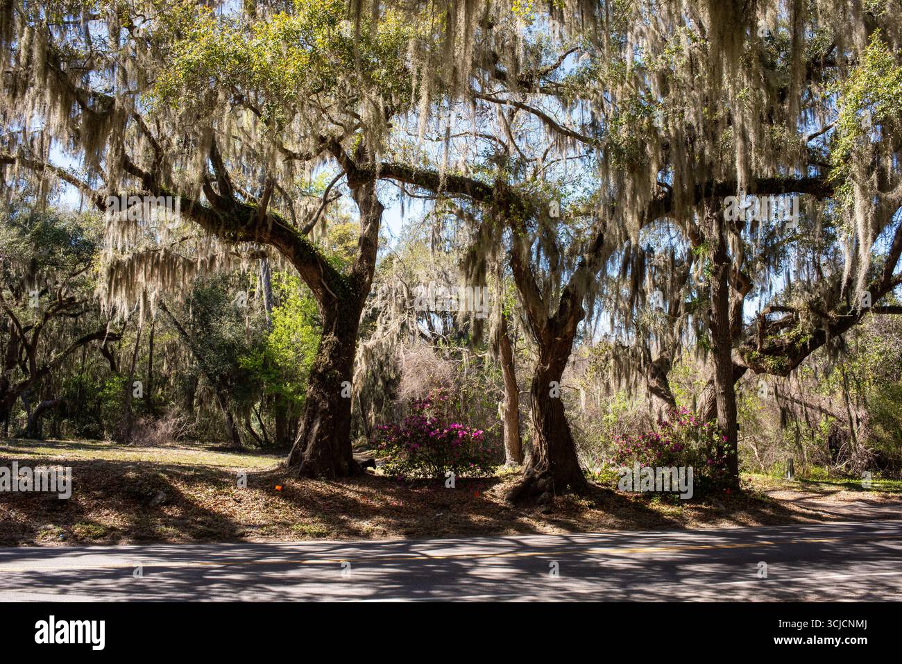The Penn Center, a National Historic Landmark , Saint Helena Island ...