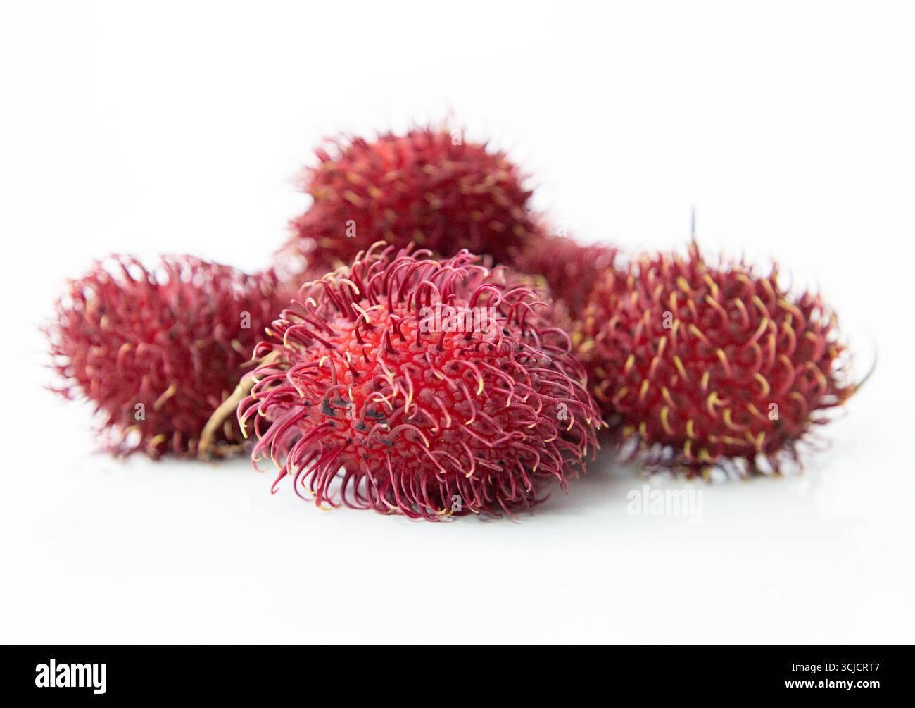 Rambutan is a South-East Asian fruit with spiny reddish peel and white ...