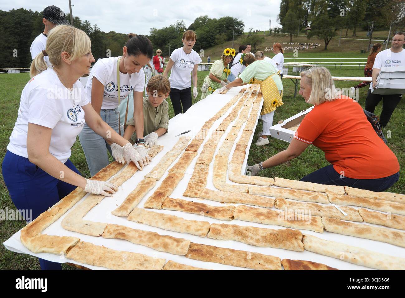 Vounteers bake and arrange very large strudel during an attempt to set ...