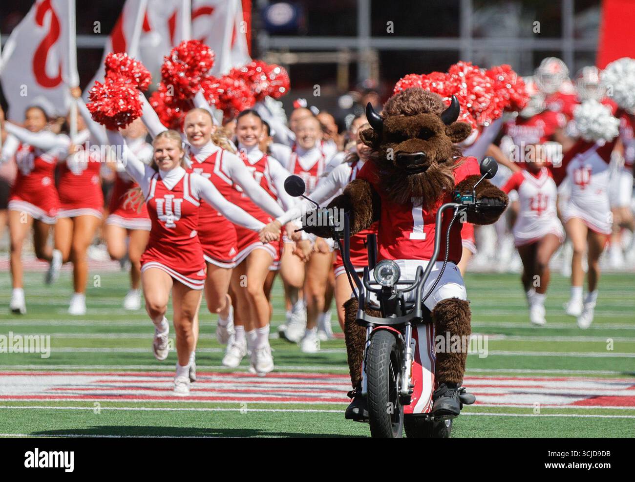 BLOOMINGTON, INDIANA – SEPTEMBER 6: Hoosier the Bison rides as Indiana ...