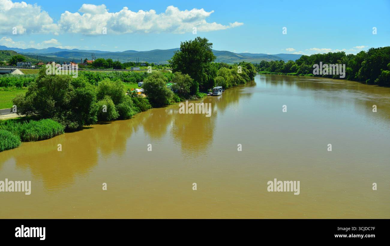 The Mures River amid lush riverside vegetation in spring. Deva area ...