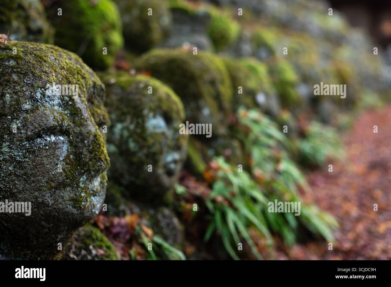 Ancient moss covered buddhist hi-res stock photography and images - Alamy