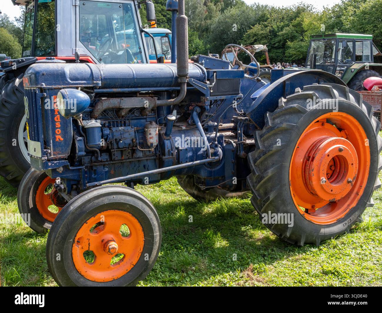 September 2025 - Blue Fordson tractor on show at Ashcott in Somerset ...