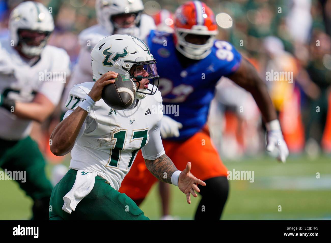 South Florida quarterback Byrum Brown looks for a receiver as Florida ...