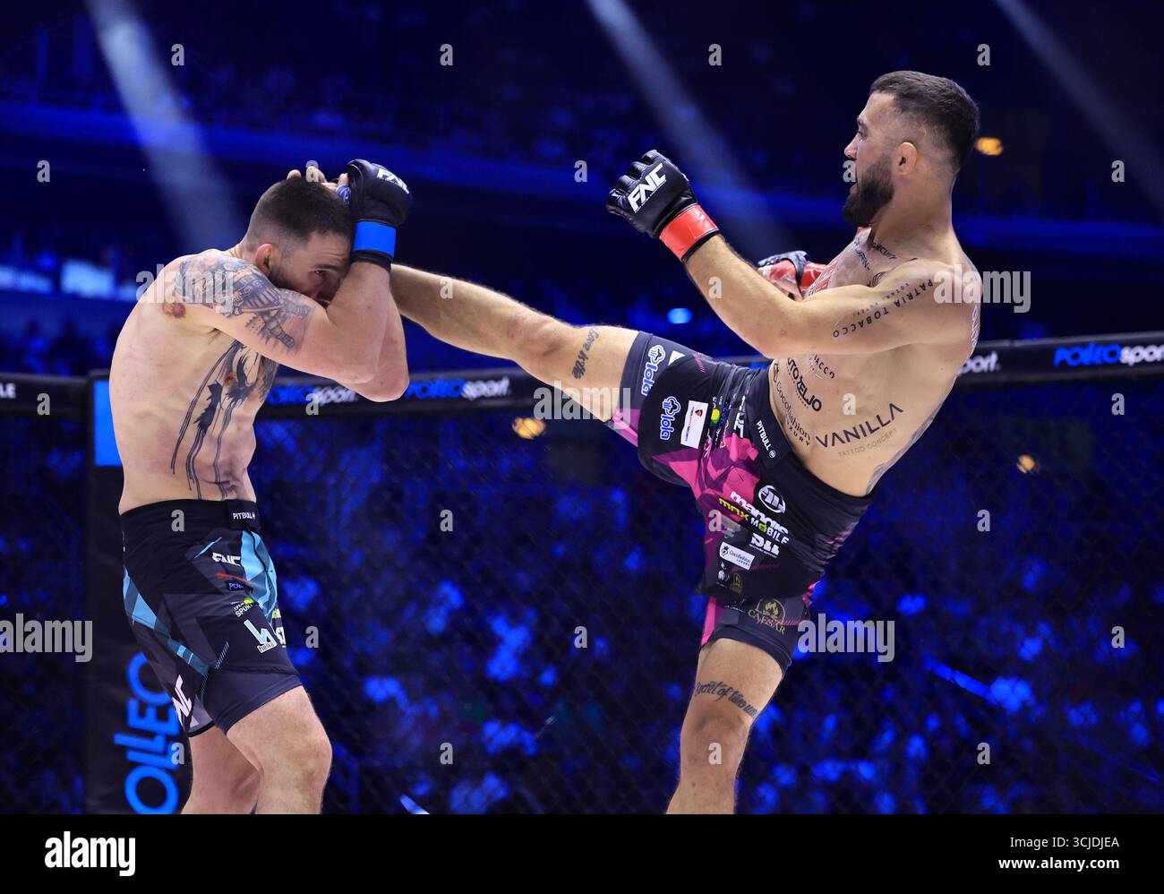 Filip Pejic of Croatia punches Aleksandar Jankovic of Serbia in ...