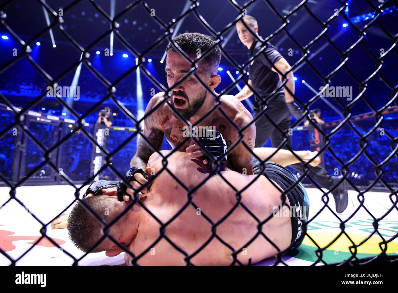 Filip Pejic of Croatia punches Aleksandar Jankovic of Serbia in catchweight fight during FNC 24 ...