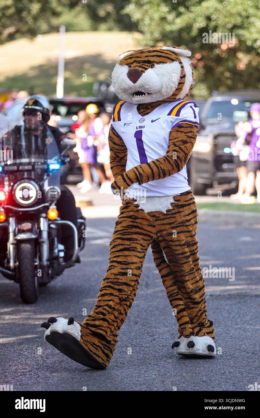 September 6, 2025: LSU's mascot Mike the Tiger walks down Victory Hill ...