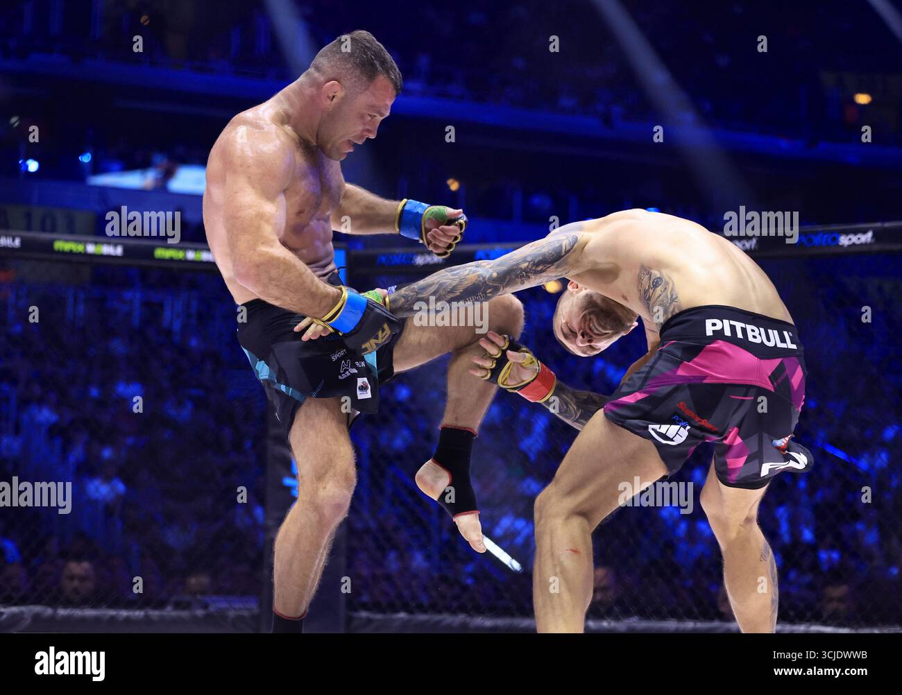 Pawel Politylo of Poland punches Ivan Sicaja of Croatia in ...