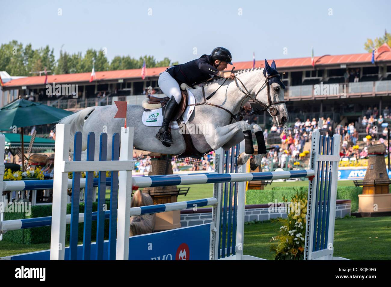 Team jumping by nations hi-res stock photography and images - Alamy
