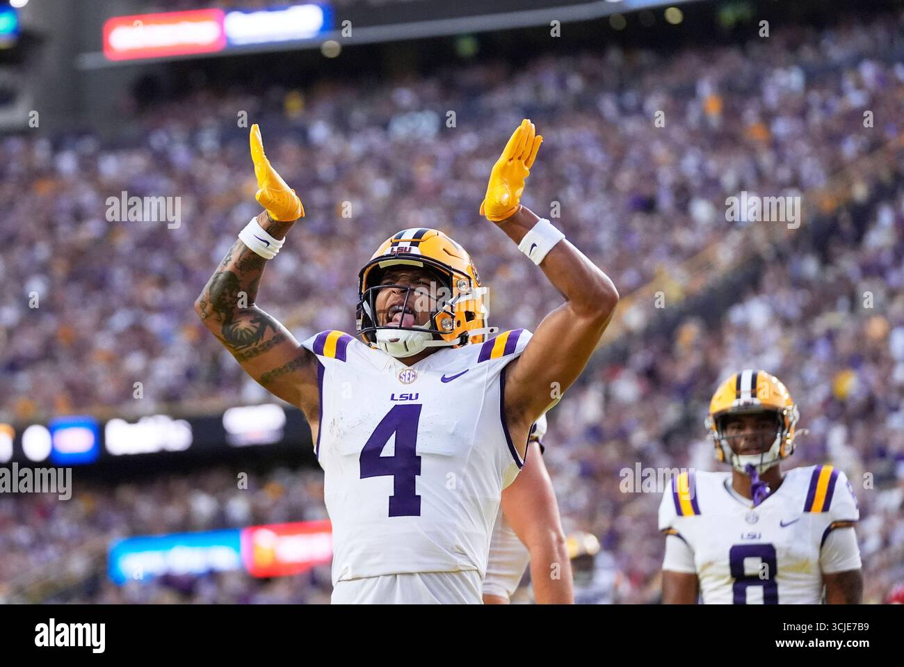 LSU wide receiver Nic Anderson (4) celebrates his touchdown reception ...