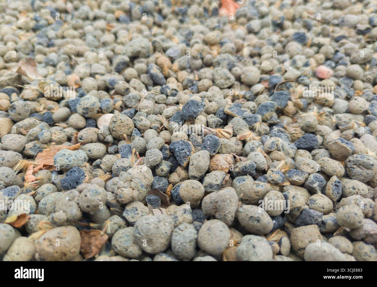 Expanded clay arlite, lightweight ceramic aggregate Stock Photo - Alamy