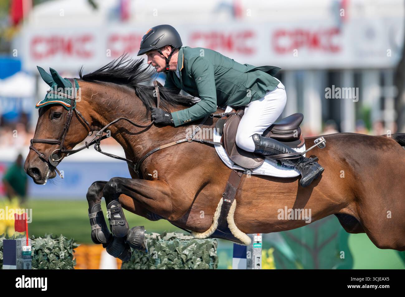 Daniel coyle and legacy nations hi-res stock photography and images - Alamy