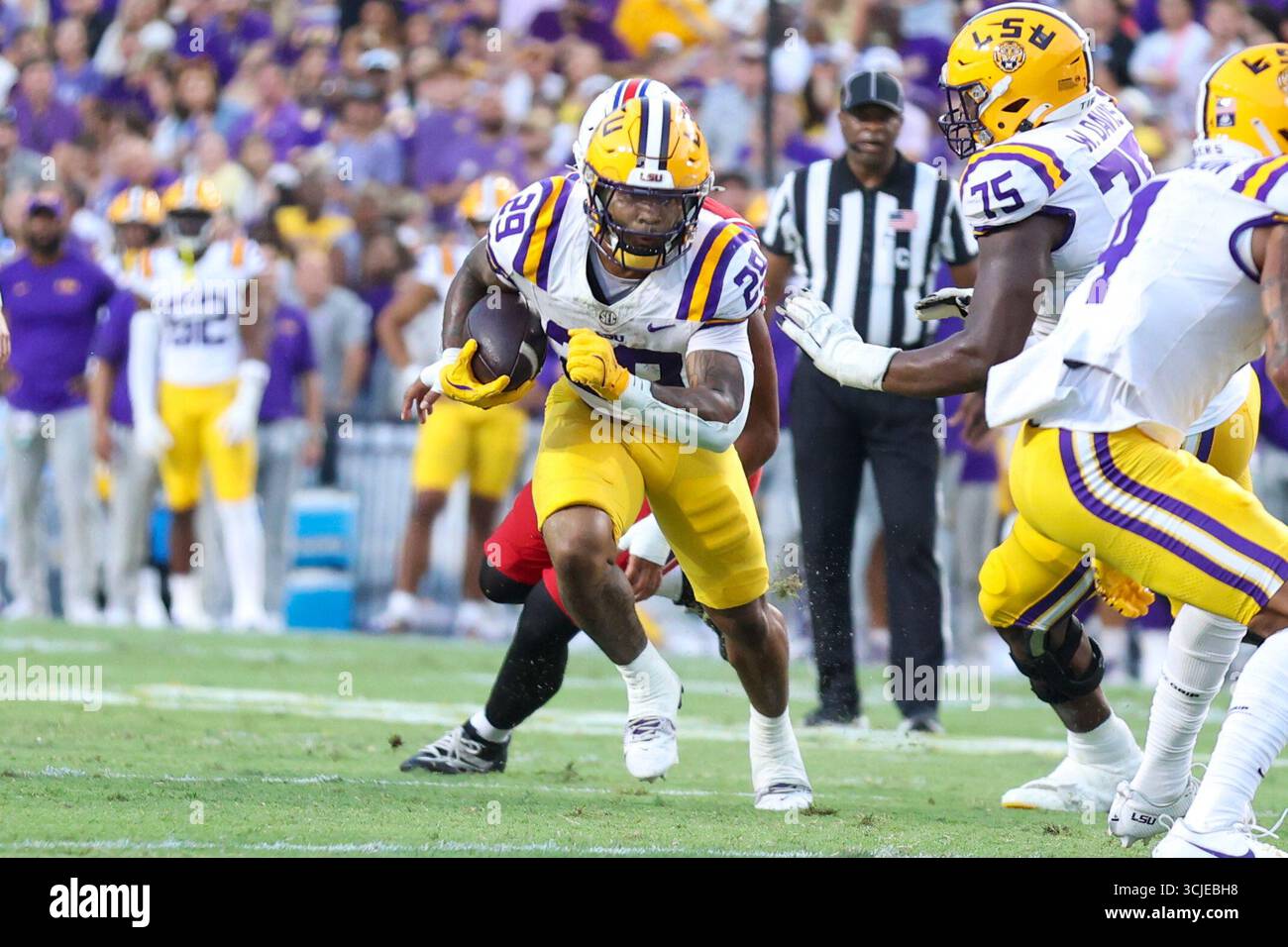 LSU Tigers running back Caden Durham (29) rush for some yardage during a college football game ...