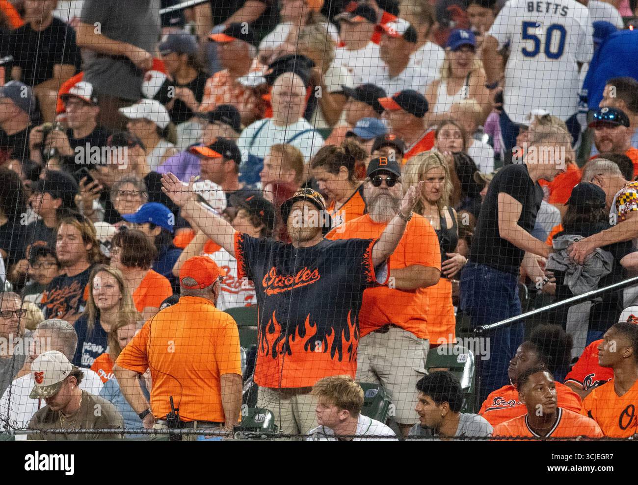 BALTIMORE, MD - SEPTEMBER 06: Orioles fan in the sold-out stadium ...