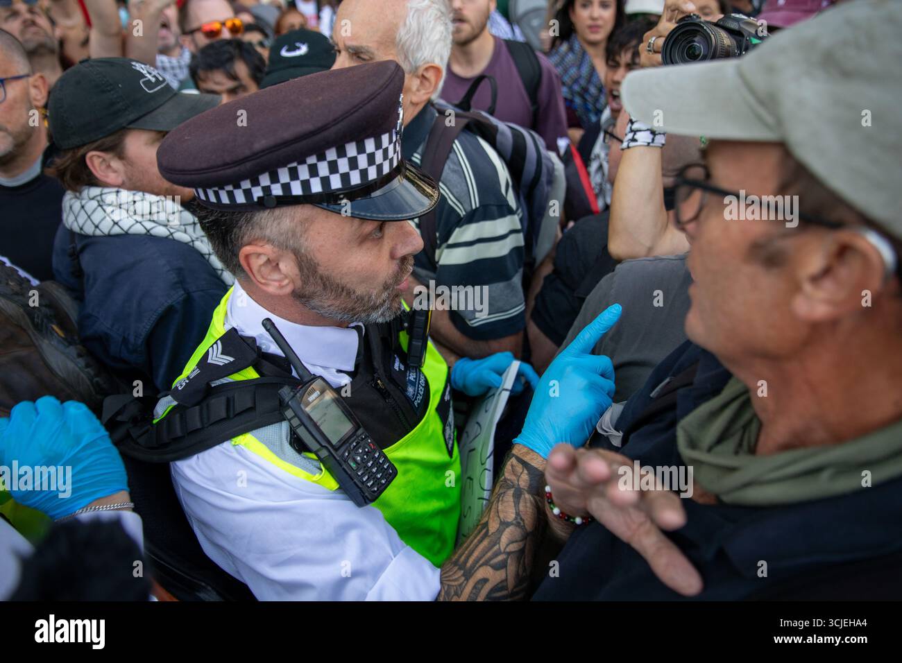 A Metropolitan Police officer confronts an activist during a ...