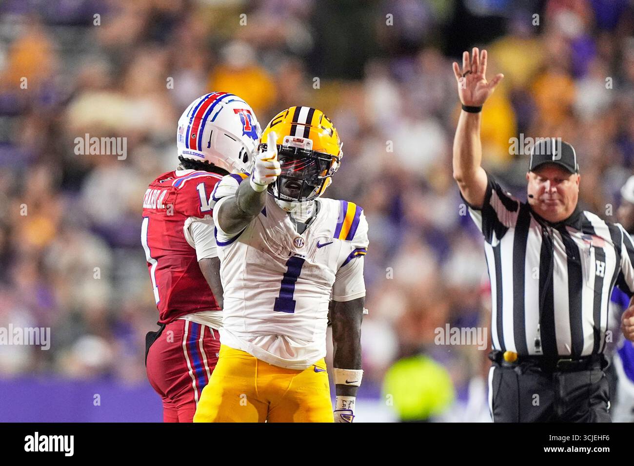LSU wide receiver Aaron Anderson (1) celebrates a first down pass ...
