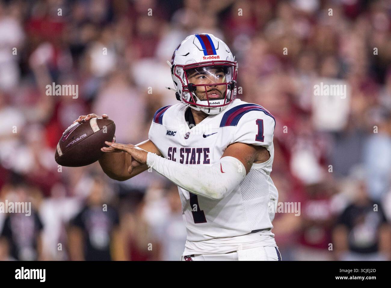 South Carolina State quarterback William Atkins IV (1) drops back to ...