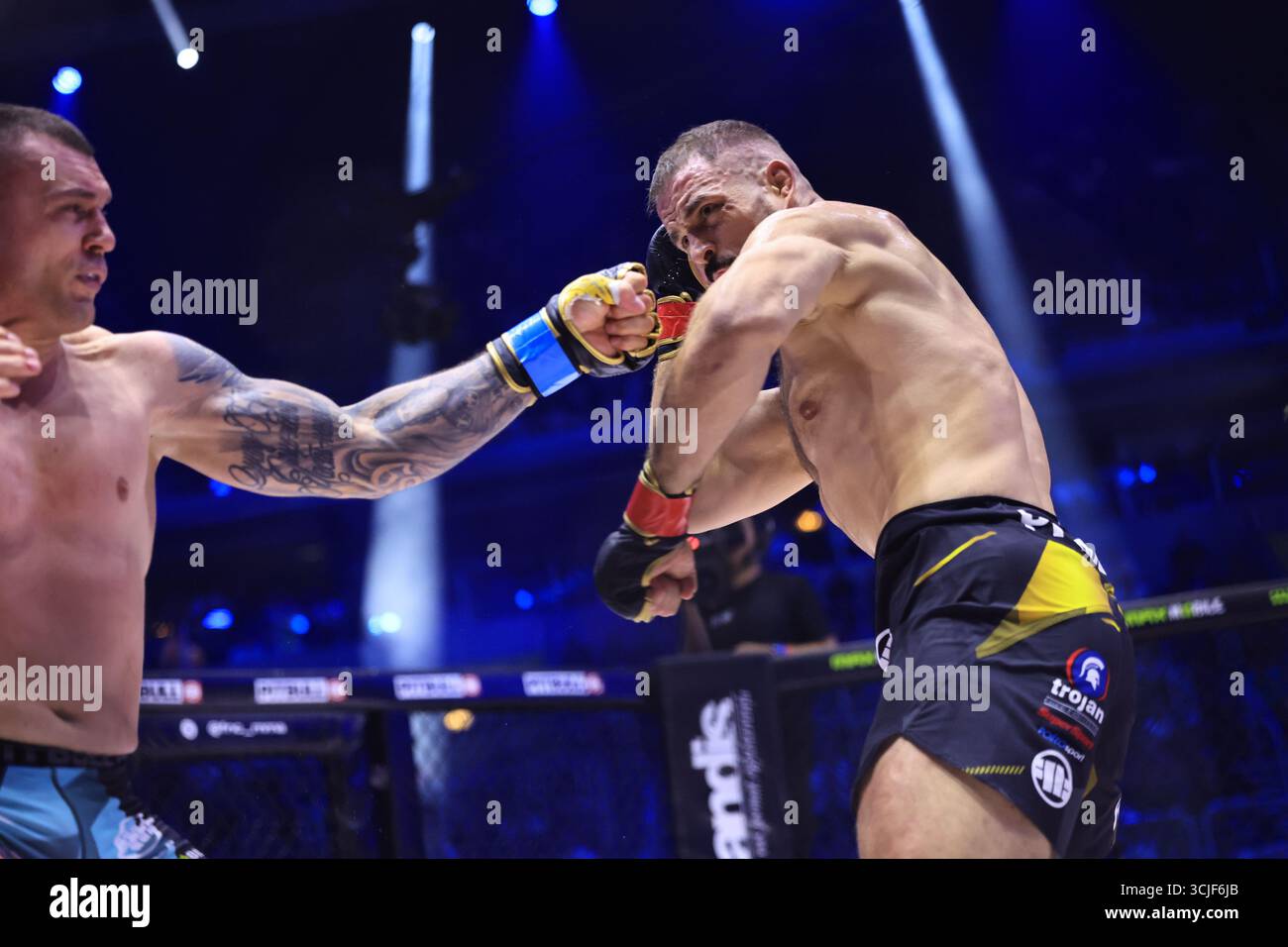 Ivan Vitasovic of Croatia fights Darko Stosic of Serbia in heavyweight ...