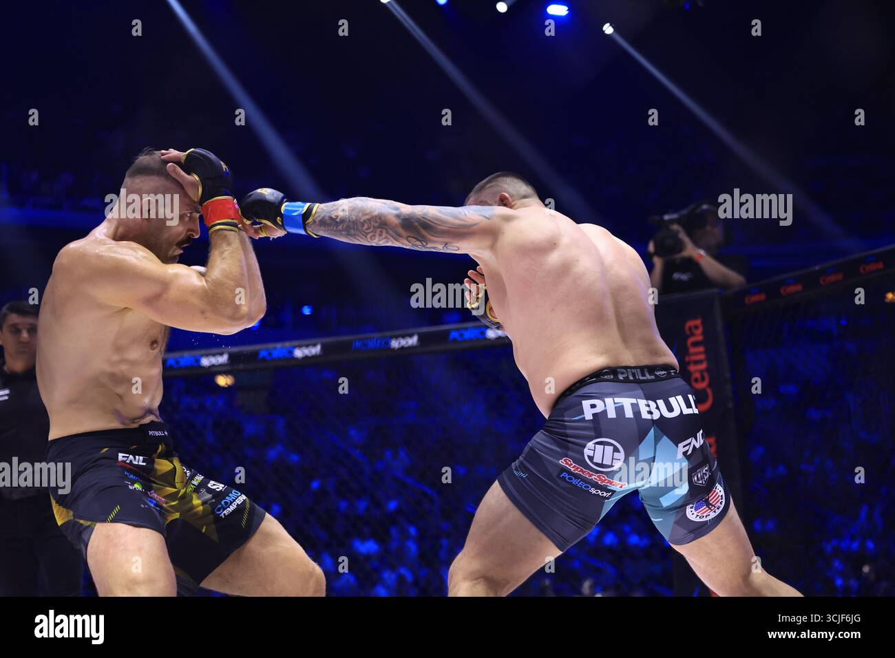 Ivan Vitasovic of Croatia fights Darko Stosic of Serbia in heavyweight ...