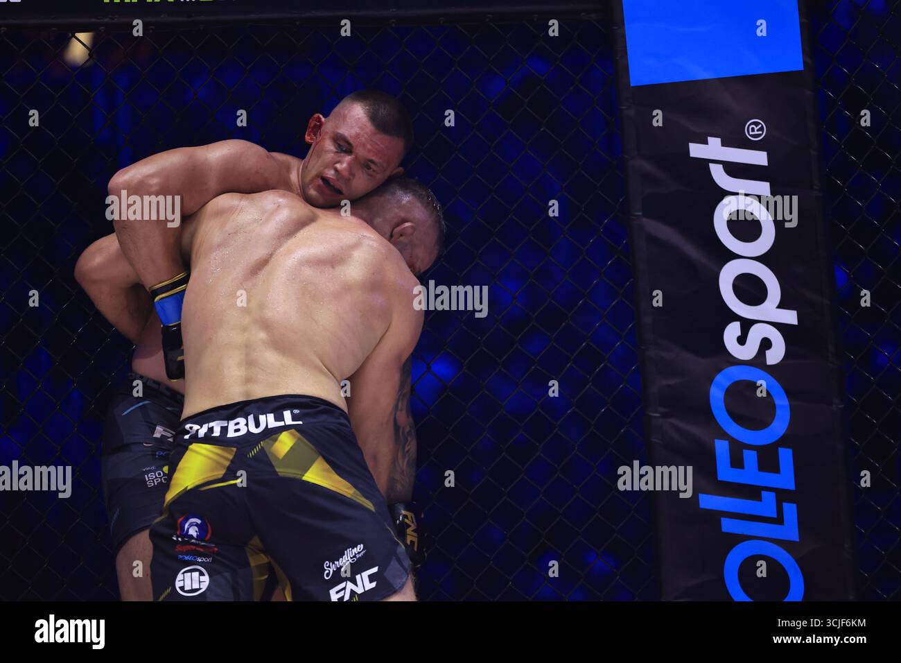 Ivan Vitasovic of Croatia fights Darko Stosic of Serbia in heavyweight ...