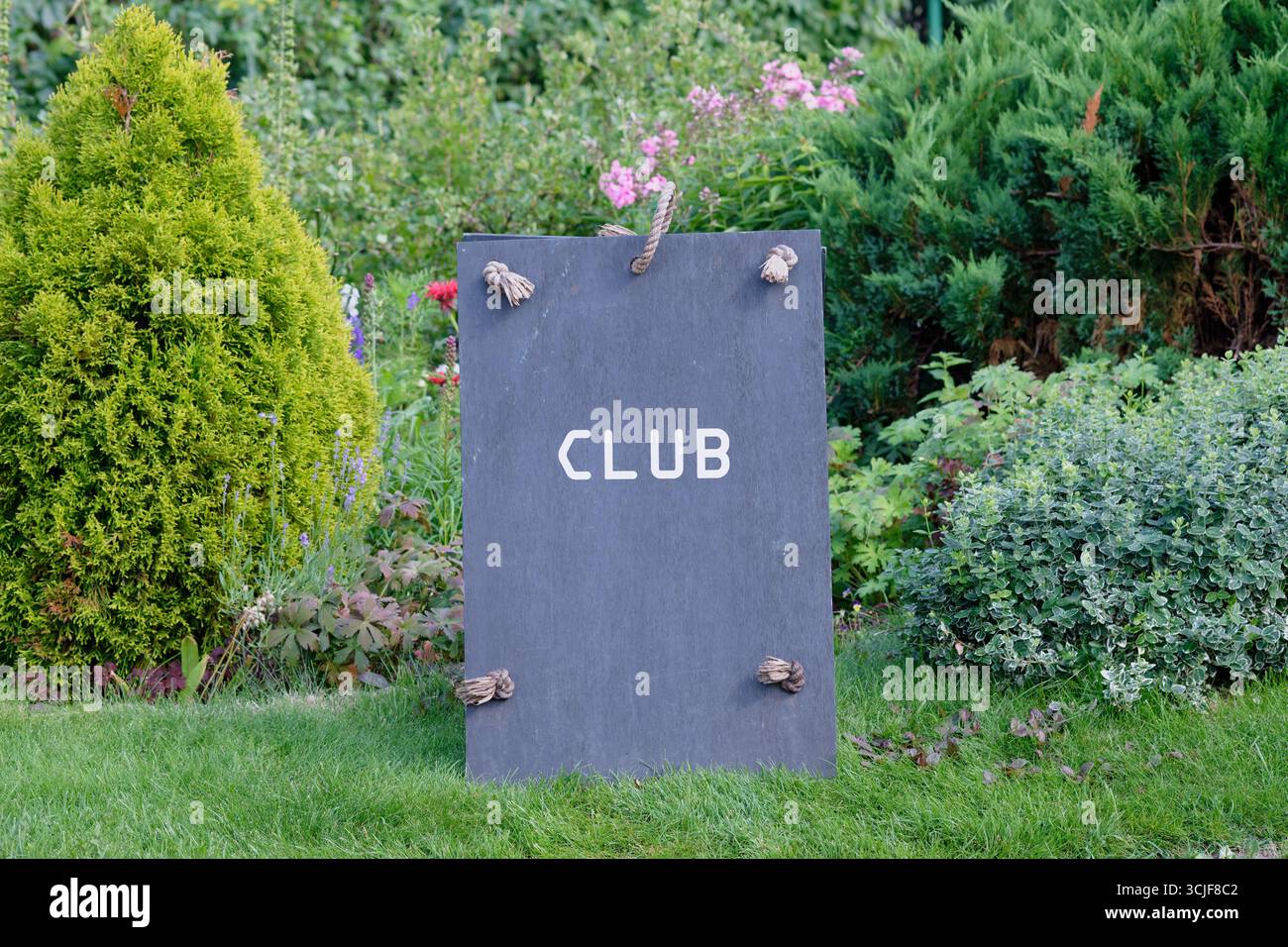 Book club concept set hi-res stock photography and images - Alamy