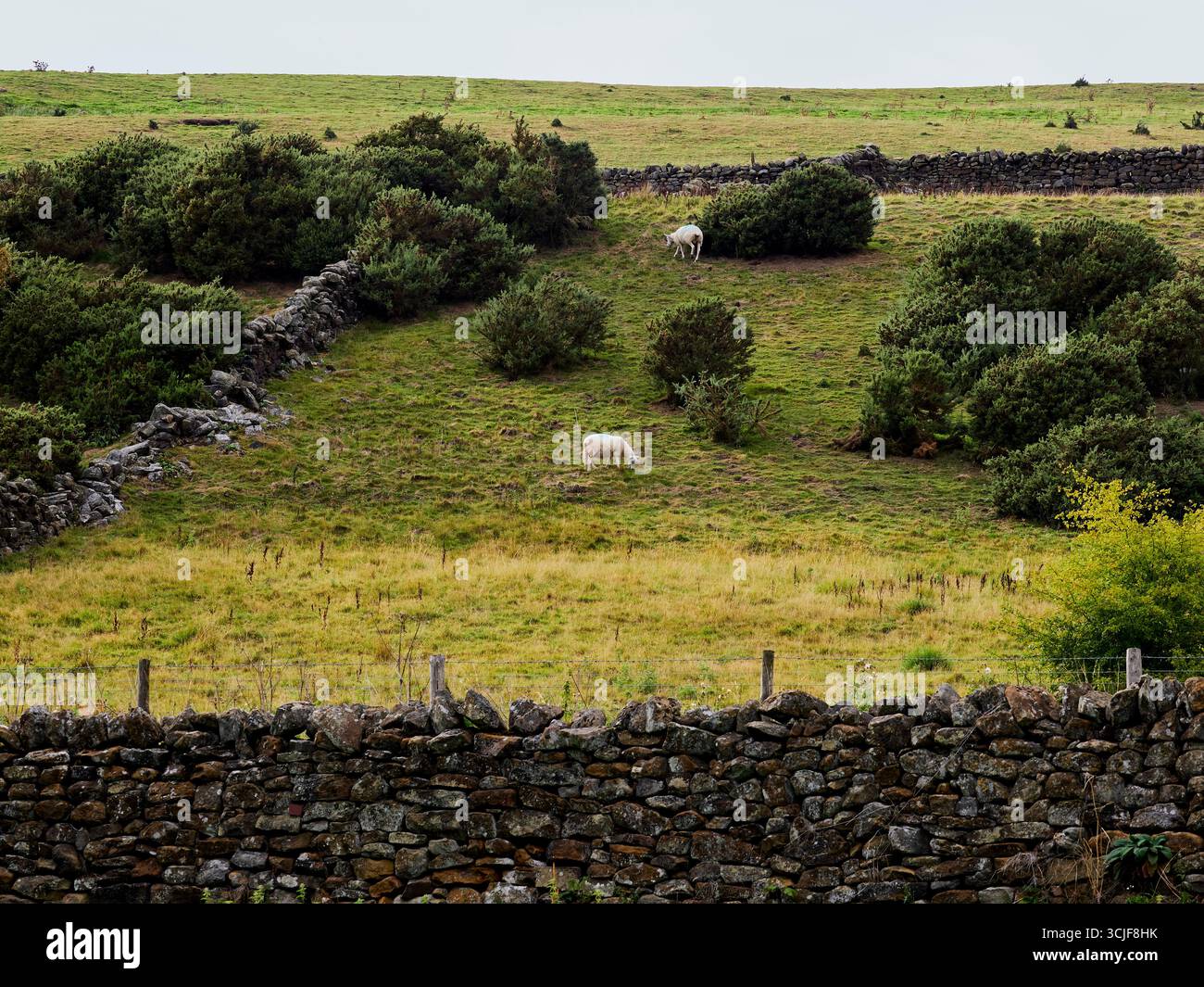 Cod beck reservoir north york moors hi-res stock photography and images ...