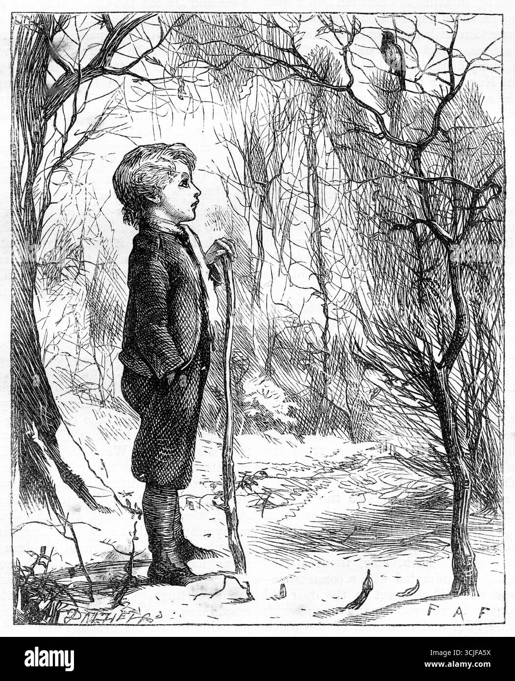 Wild boy forest Cut Out Stock Images & Pictures - Alamy