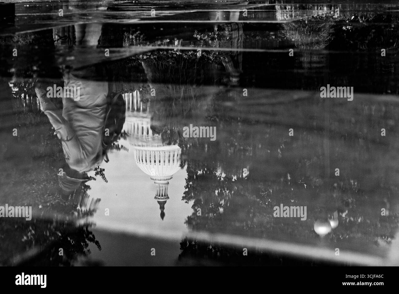 U s botanical garden Black and White Stock Photos & Images - Alamy