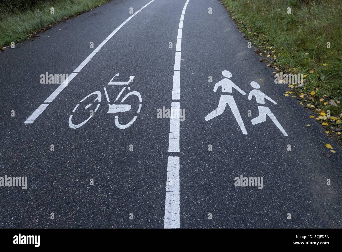 Separate lanes for bicycles and pedestrians promoting safety and order ...