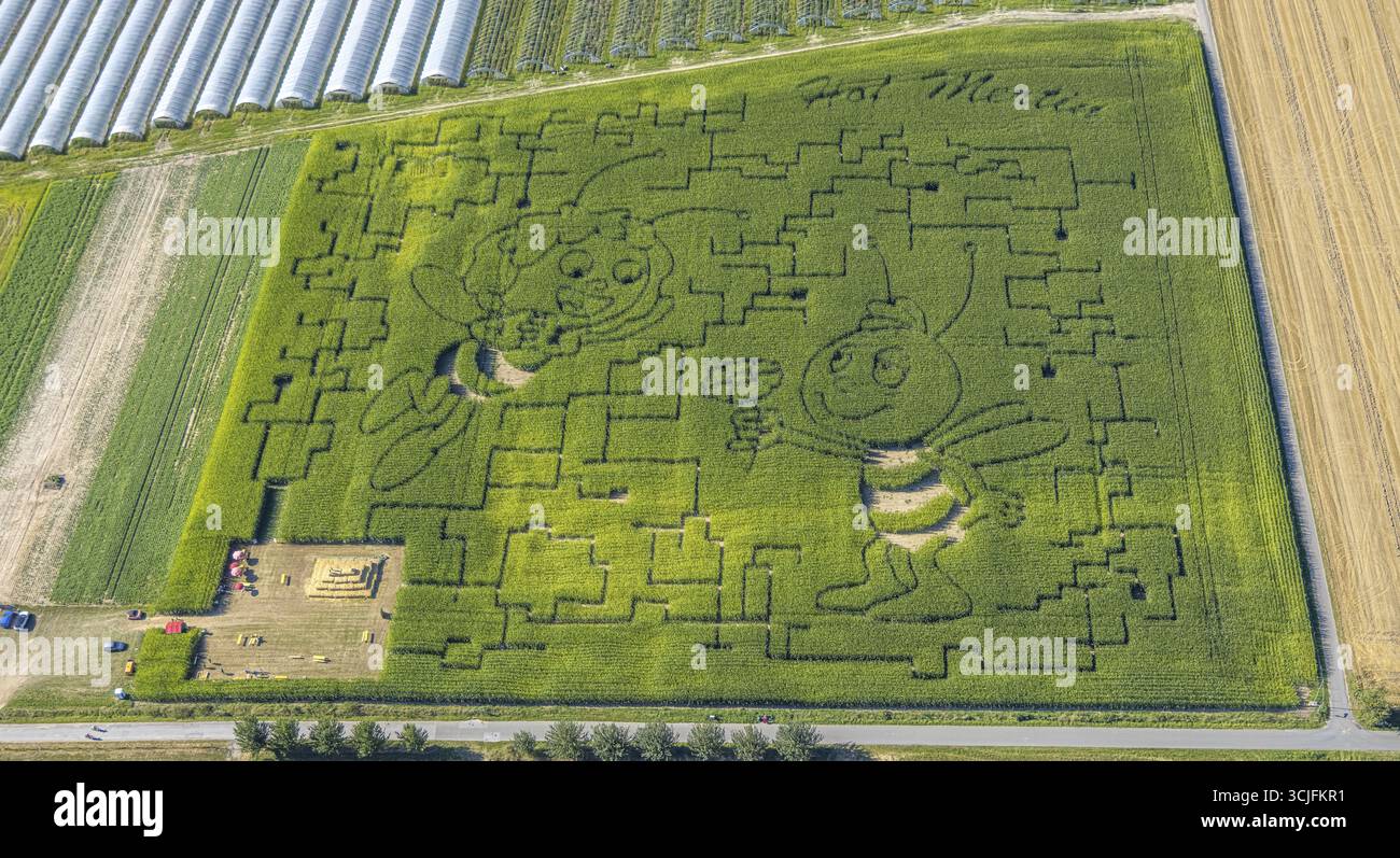 Aerial view, meadow and field with pattern and artwork Maya the Bee and ...